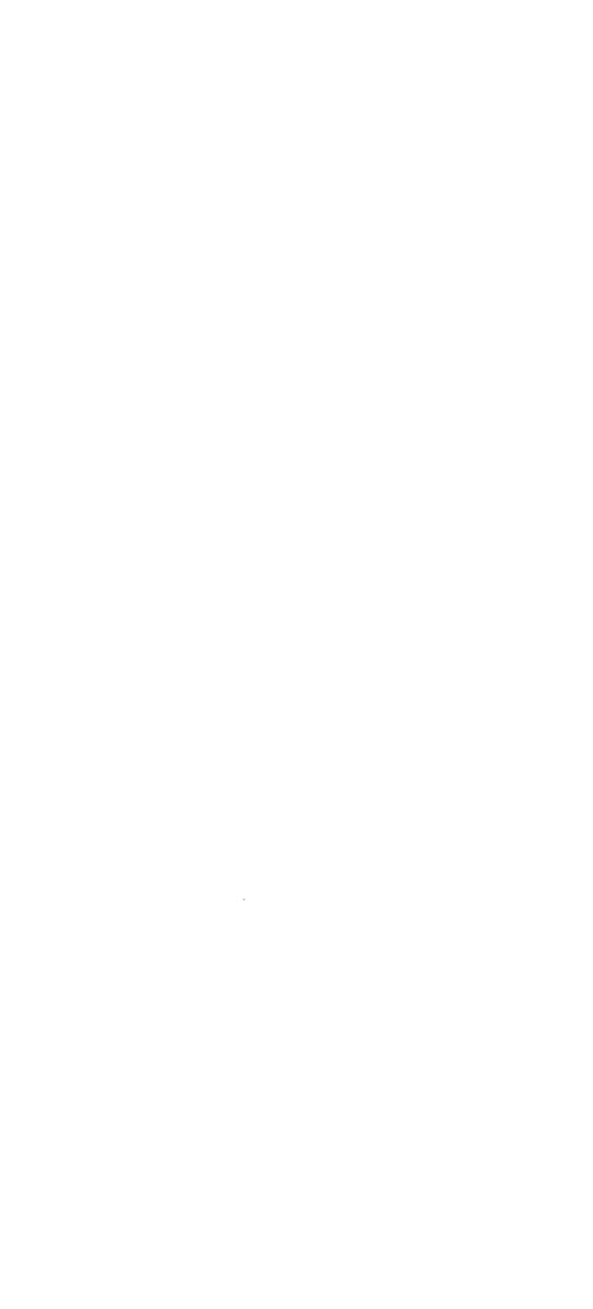 Men’s vintage-style sneakers | Velasca & Sealup